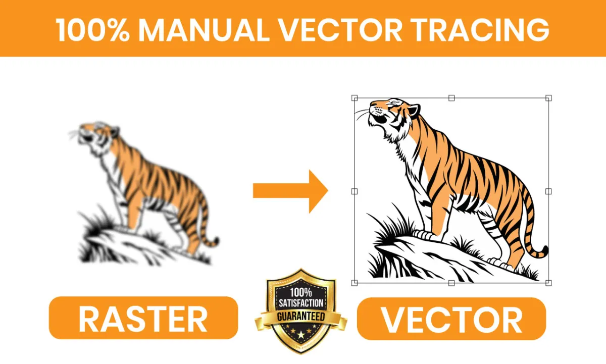 Vector Tracing | Convert Logo & Image to High-Quality Vector | Xp ...